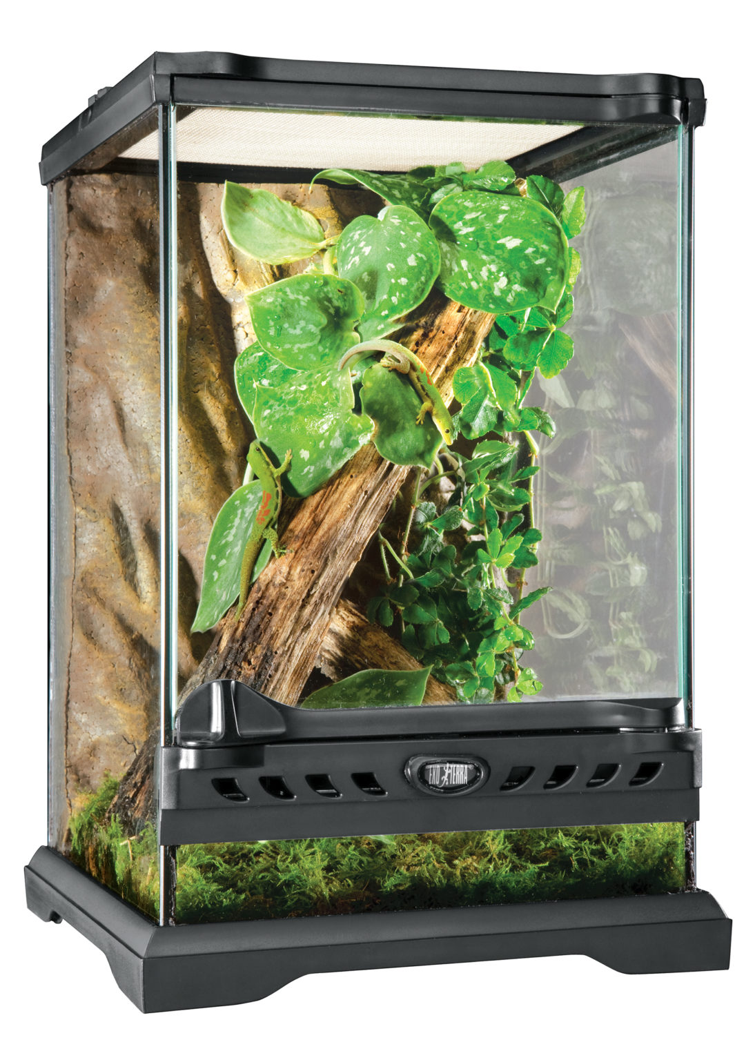Exo Terra Terrarium Achtergrond Inclusief 45x45x30 - Brusselse Aquariums